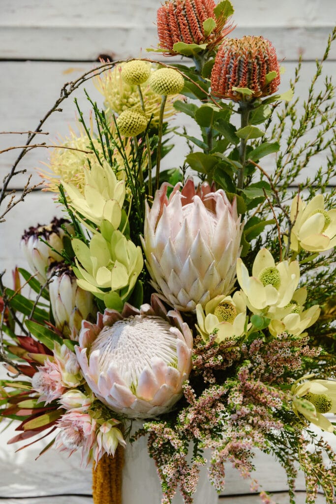 Mystique Natives – Blossoms of Blackburn